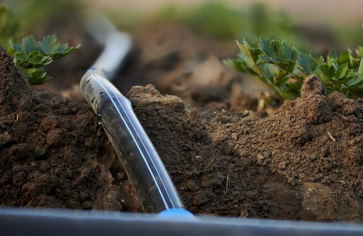 About Toro DripTips, Helping You Learn How A Drip Irrigation System Works